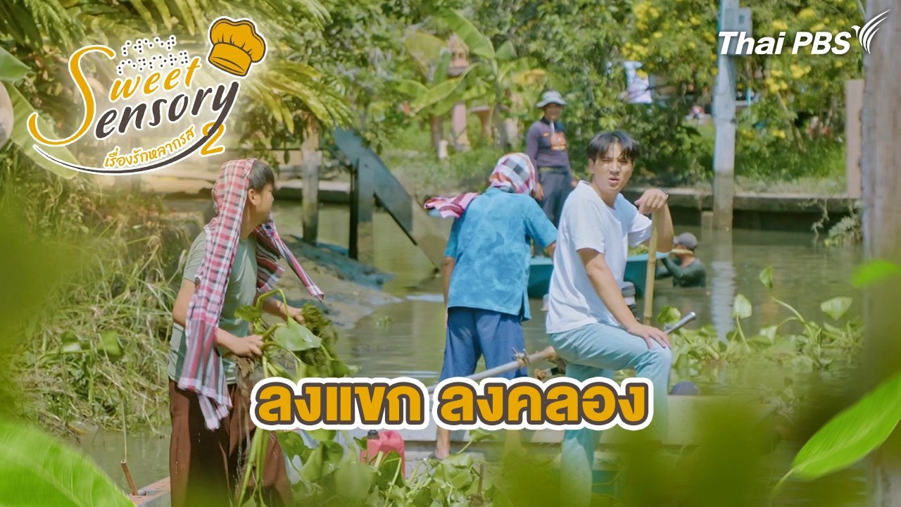 Sweet Sensory เรื่องรัก หลากรส - ลงแขก ลงคลอง | Thai PBS รายการไทยพีบีเอส
