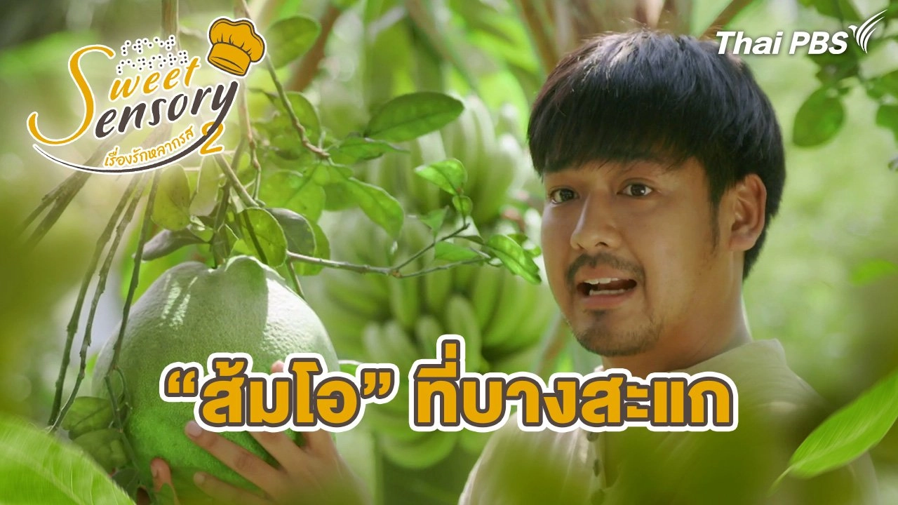 Sweet Sensory เรื่องรัก หลากรส - “ส้มโอ” ที่บางสะแก | Thai PBS รายการ ...
